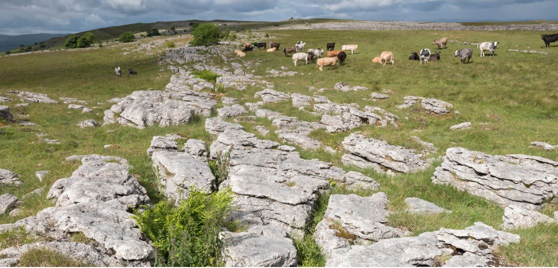 Asby History Group, Cumbria
